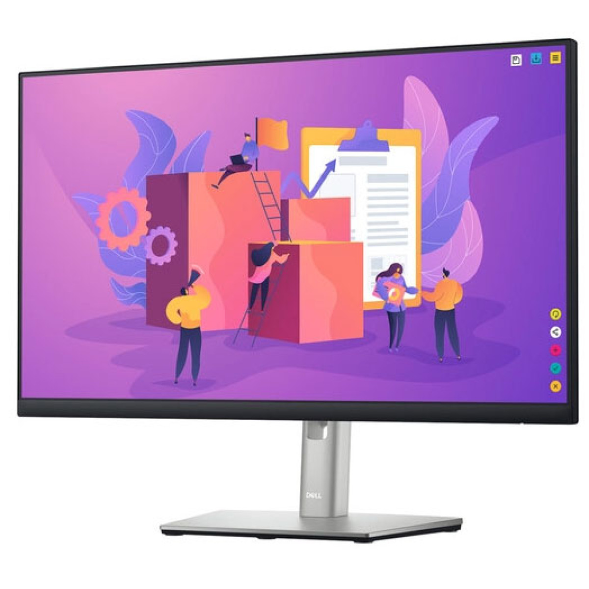 Dell 24 inch FHD IPS 60Hz Monitor